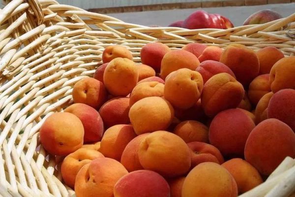 龙虾盖浇饭吃死人_中毒原因-第3张图片-山城妙识