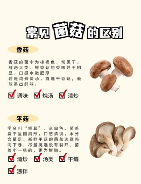 菇类大全名字有哪些_常见菇类品种怎么区分-第1张图片-山城妙识