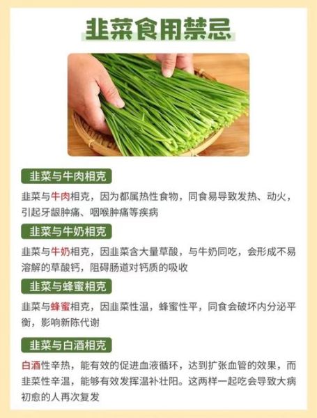 韭菜的功效与作用_韭菜的禁忌有哪些-第3张图片-山城妙识