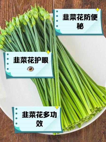 韭菜的功效与作用_韭菜的禁忌有哪些-第2张图片-山城妙识