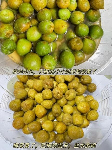 蜜饯读音怎么读_蜜饯拼音声调是什么-第3张图片-山城妙识