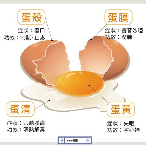 鸡蛋的营养价值有哪些_鸡蛋的功效与作用-第3张图片-山城妙识