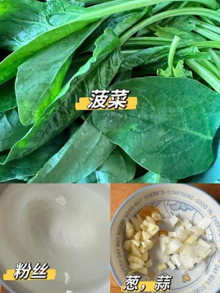 粉丝菠菜怎么炒_粉丝菠菜的家常做法-第1张图片-山城妙识