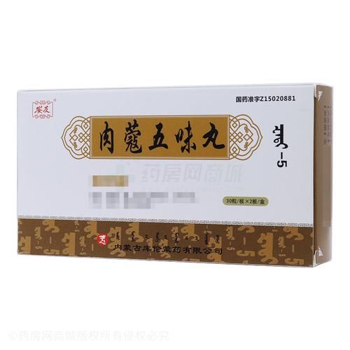 肉蔻五味丸功效与作用_肉蔻五味丸适合哪些人吃-第1张图片-山城妙识