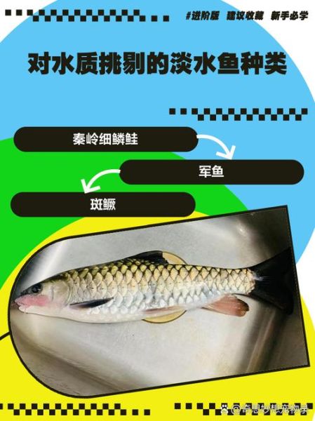 中国四大淡水名鱼有哪些_如何挑选正宗产地-第2张图片-山城妙识