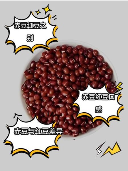 红豆和赤小豆哪个好_功效区别与食用禁忌-第2张图片-山城妙识