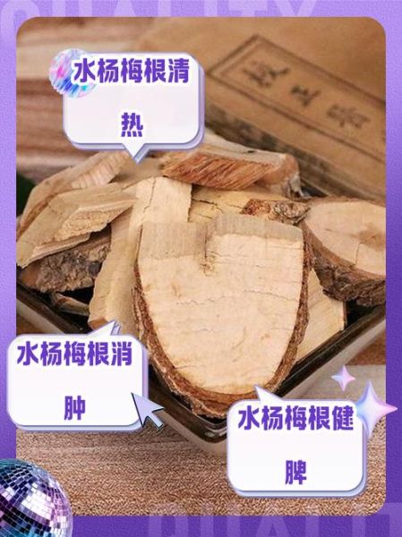 水杨梅根的功效与作用_水杨梅根怎么使用-第1张图片-山城妙识