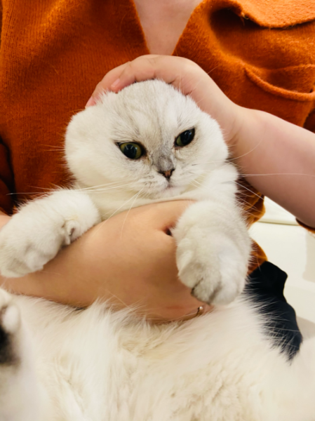 饭团小夫妻是谁_饭团小夫妻怎么火的-第2张图片-山城妙识