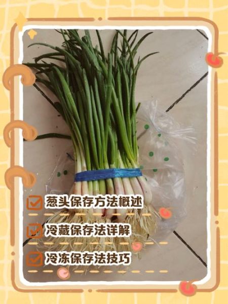 小葱头怎么保存_小葱头做法大全-第1张图片-山城妙识