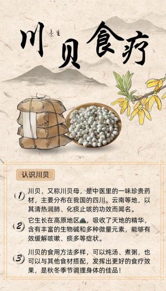 川贝炖瘦肉的功效_川贝炖瘦肉适合什么人吃-第1张图片-山城妙识