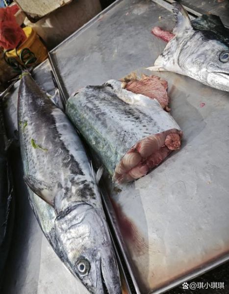 鲅鱼多少钱一斤2021_鲅鱼价格走势-第3张图片-山城妙识