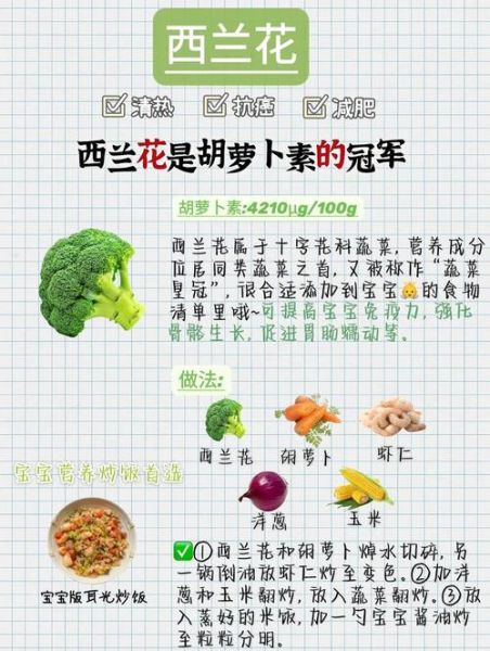 营养价值最高的蔬菜有哪些_十大高营养蔬菜排行榜-第2张图片-山城妙识