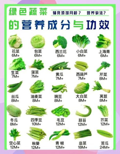 营养价值最高的蔬菜有哪些_十大高营养蔬菜排行榜-第3张图片-山城妙识