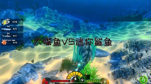 鲨鱼视频怎么赚钱_鲨鱼视频安全吗-第2张图片-山城妙识