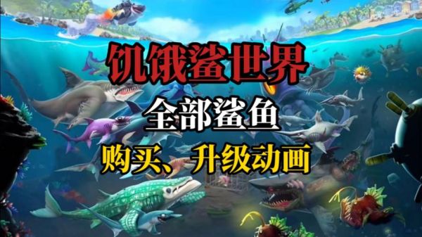 鲨鱼视频怎么赚钱_鲨鱼视频安全吗-第1张图片-山城妙识