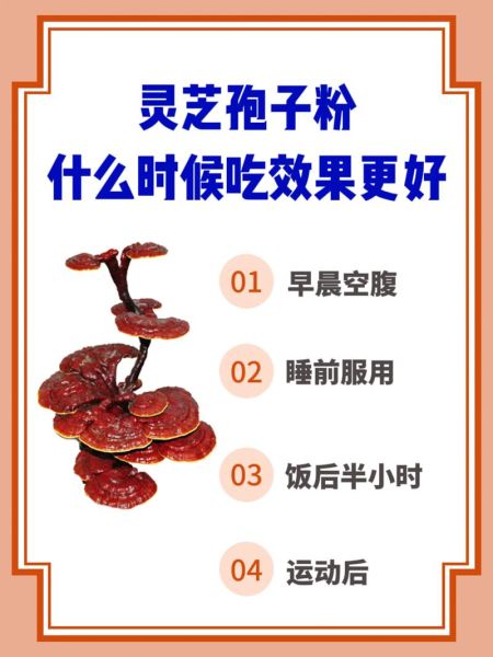 灵芝孢子粉饭前吃还是饭后吃_最佳服用时间-第1张图片-山城妙识