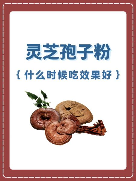 灵芝孢子粉饭前吃还是饭后吃_最佳服用时间-第2张图片-山城妙识