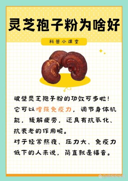 灵芝孢子粉饭前吃还是饭后吃_最佳服用时间-第3张图片-山城妙识