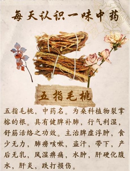 野生五指毛桃长什么样_如何辨别真假野生五指毛桃-第2张图片-山城妙识