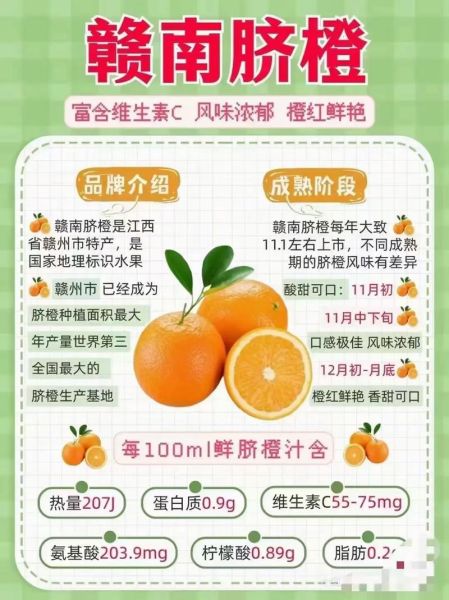 橙子上火吗_橙子一天吃几个合适-第3张图片-山城妙识 橙子上火吗_橙子一天吃几个合适-第3张图片-山城妙识