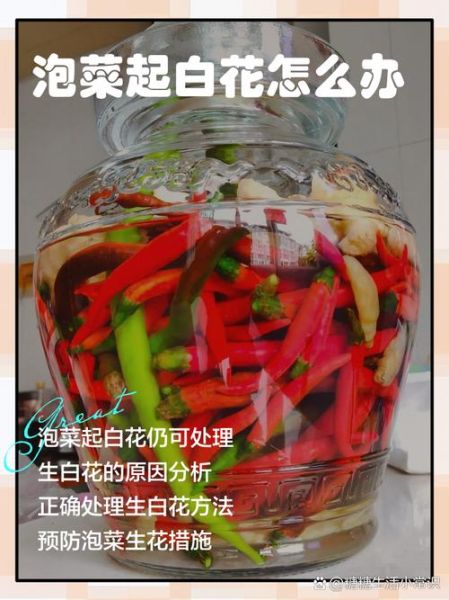 泡菜起白花还能吃吗_泡菜起白花怎么处理-第3张图片-山城妙识