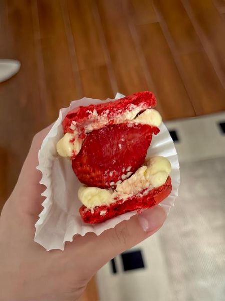 马卡龙为什么那么贵_马卡龙怎么保存才酥脆-第2张图片-山城妙识