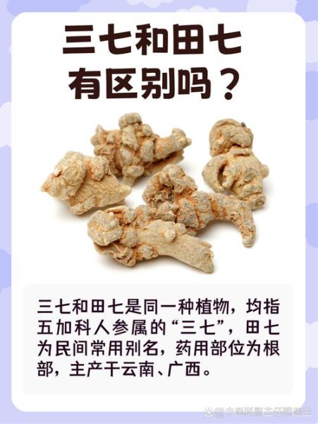 三七长什么样_三七植物图片如何辨别-第1张图片-山城妙识