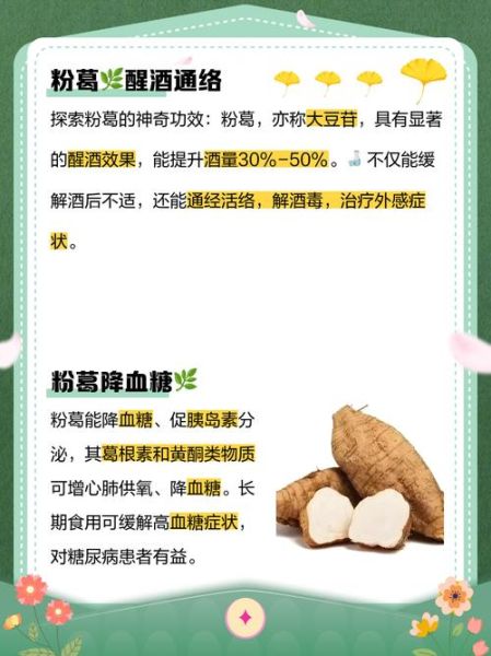 粉葛的功效与作用禁忌_粉葛什么人不能吃-第3张图片-山城妙识