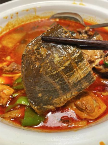 霸王别姬菜系是什么_怎么做才正宗-第2张图片-山城妙识