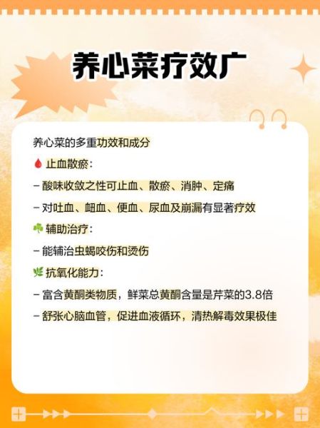 养心菜的功效与作用_养心菜怎么吃最好-第3张图片-山城妙识