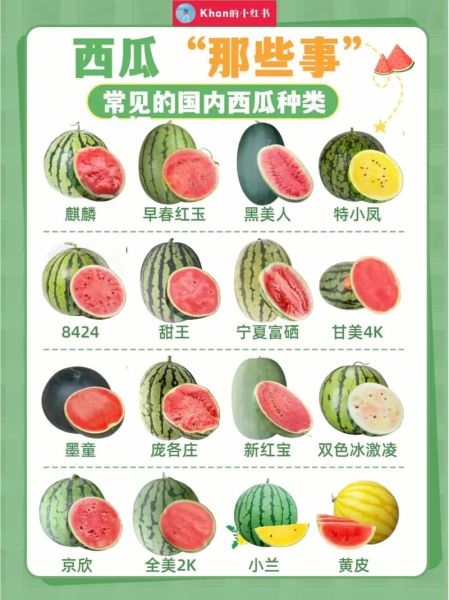 西瓜怎么挑熟的_西瓜怎么看熟不熟-第1张图片-山城妙识