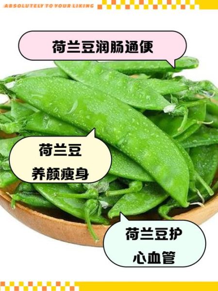 荷兰豆的营养价值_荷兰豆的禁忌人群-第3张图片-山城妙识