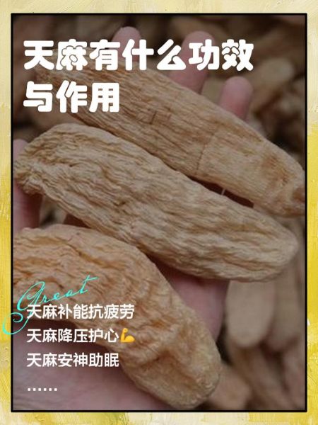 天麻怎么吃效果最好_天麻的用途有哪些-第1张图片-山城妙识