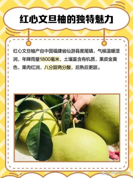 文旦柚产地是哪里_正宗文旦柚哪里买-第3张图片-山城妙识