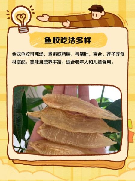 金龙鱼胶的功效与作用_适合什么人吃-第2张图片-山城妙识