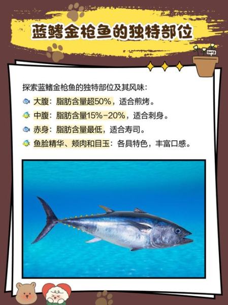 金枪鱼的营养价值_金枪鱼的禁忌人群-第3张图片-山城妙识