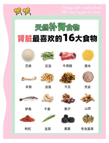 肾虚食补吃什么好_肾虚食补多久见效-第1张图片-山城妙识
