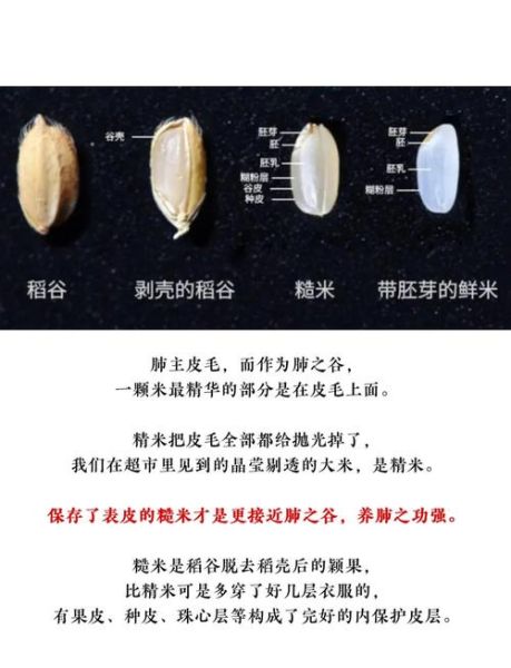 炒糙米茶的功效与作用_炒糙米茶怎么喝才减肥-第3张图片-山城妙识 炒糙米茶的功效与作用_炒糙米茶怎么喝才减肥-第3张图片-山城妙识