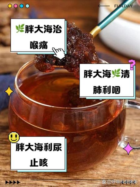 胖大海图片长什么样_胖大海泡水前后对比-第2张图片-山城妙识