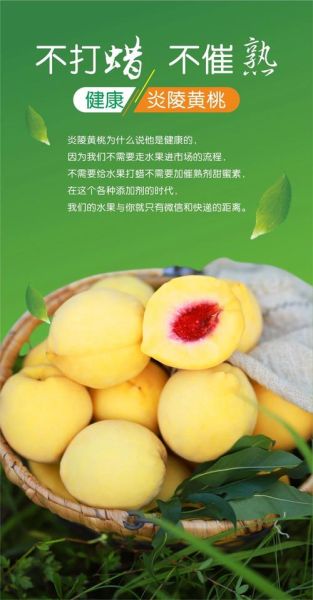 炎陵黄桃的功效与作用_炎陵黄桃营养价值高吗-第1张图片-山城妙识