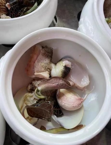 石蛙是国家保护动物吗_石蛙买卖违法吗-第1张图片-山城妙识