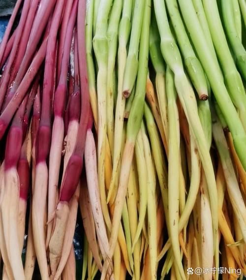 芋头花图片长什么样_如何识别真假芋头花-第3张图片-山城妙识