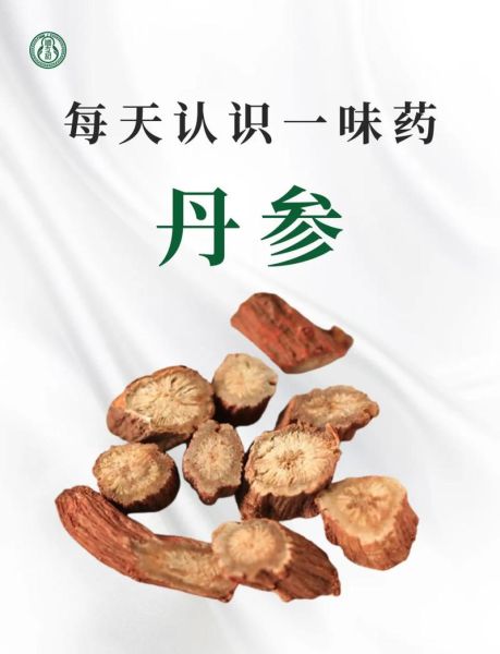 丹参的功效与作用禁忌_哪些人不能吃-第1张图片-山城妙识