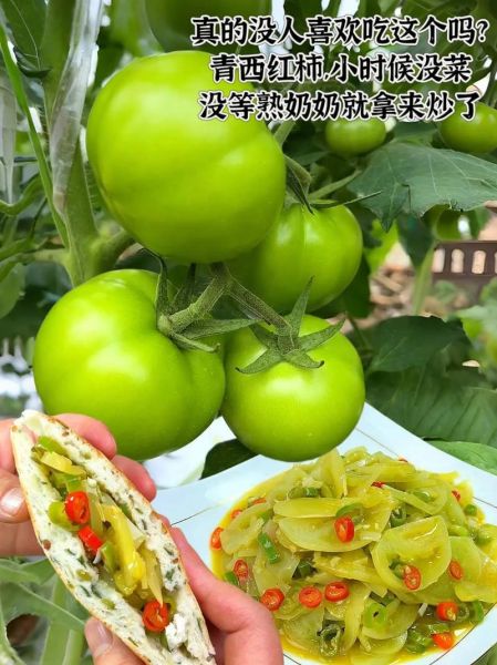 青番茄怎么炒_青番茄炒多久才熟-第1张图片-山城妙识 青番茄怎么炒_青番茄炒多久才熟-第1张图片-山城妙识