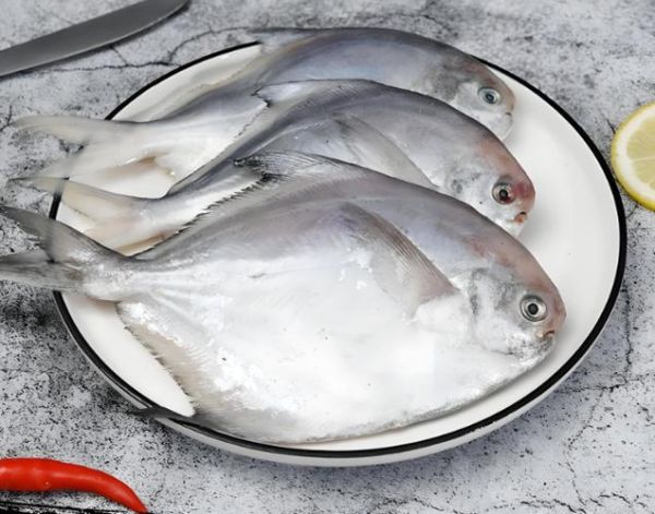 真假平鱼图片对比_如何辨别平鱼真假-第3张图片-山城妙识