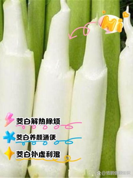 茭白有什么功效_茭白能减肥吗-第2张图片-山城妙识