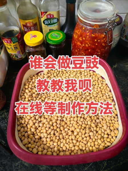 豆豉怎么做_家庭自制豆豉步骤-第2张图片-山城妙识