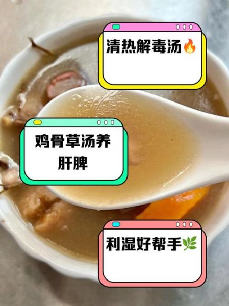 鸡骨草赤小豆煲猪横脷的功效_能天天喝吗-第1张图片-山城妙识