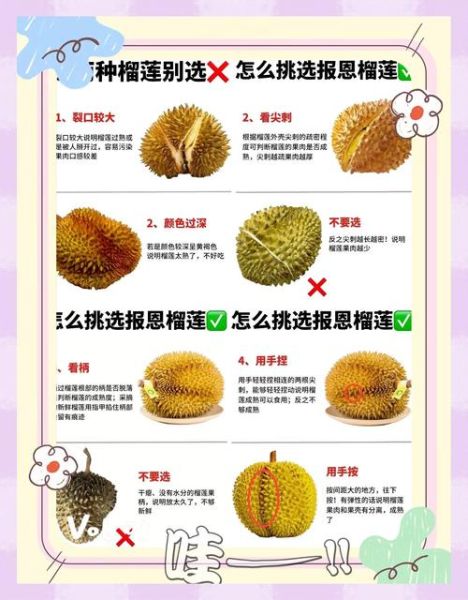 榴莲怎么吃_榴莲怎么吃才不臭-第1张图片-山城妙识