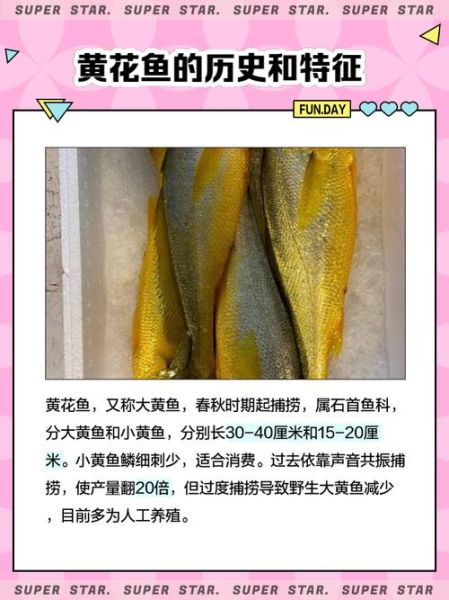 黄花鱼是淡水鱼吗_黄花鱼属于海鱼还是河鱼-第1张图片-山城妙识